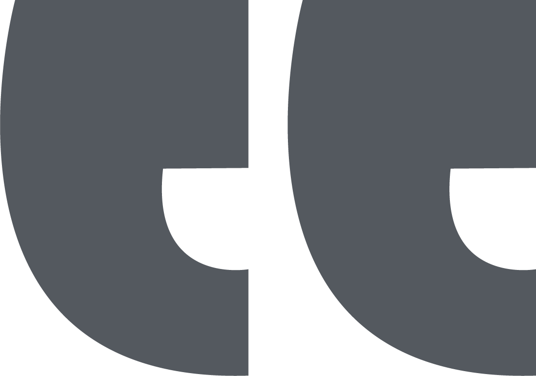 Overview of the Group - Mega Group International