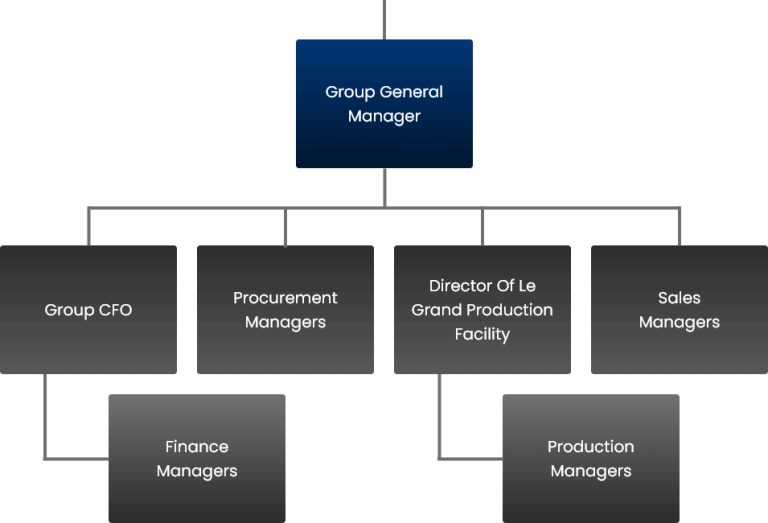Board of Directors – Mega Group International